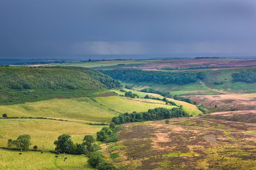 Landscape and nature photographer in Yorkshire, workshops, prints and ...