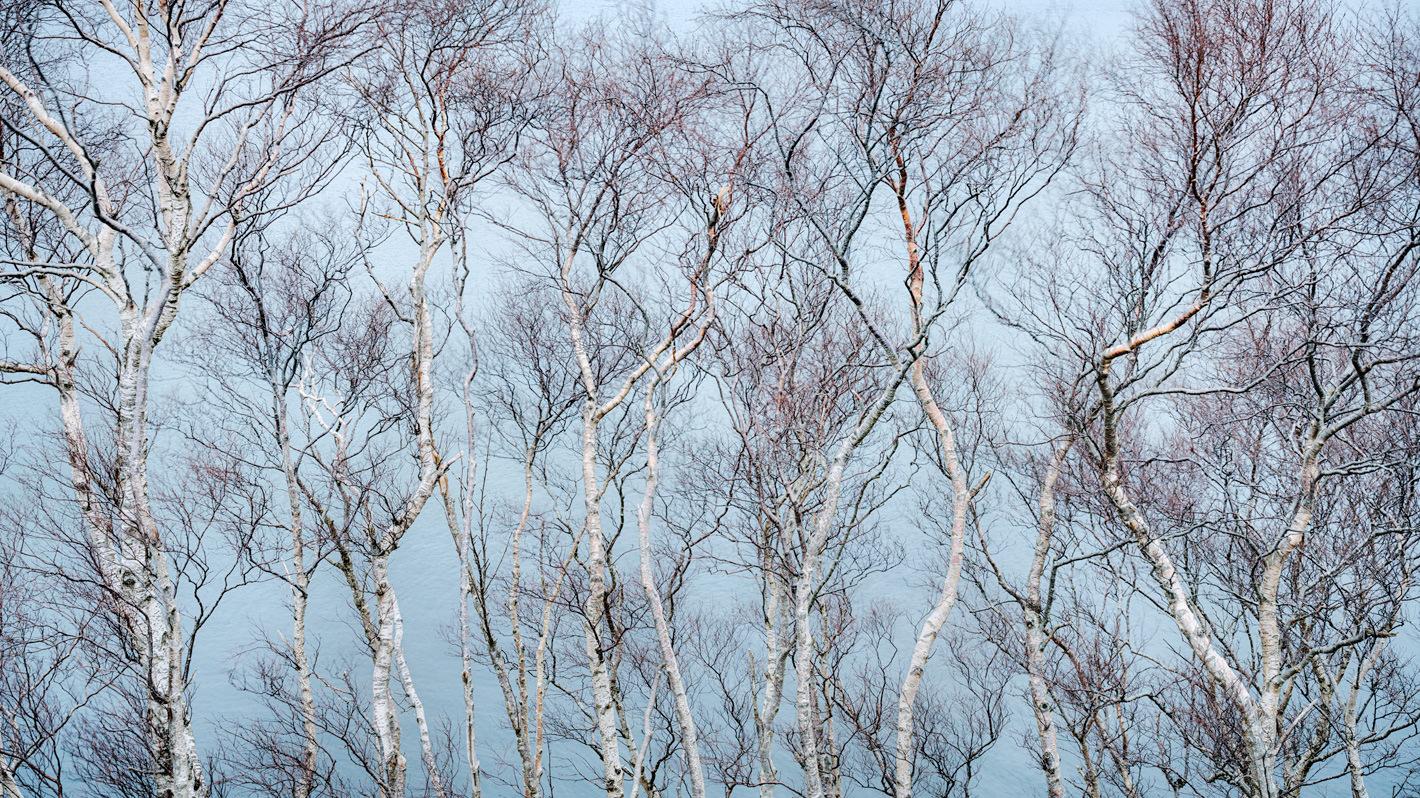 Landscape and nature photographer in Yorkshire, workshops, prints and ...