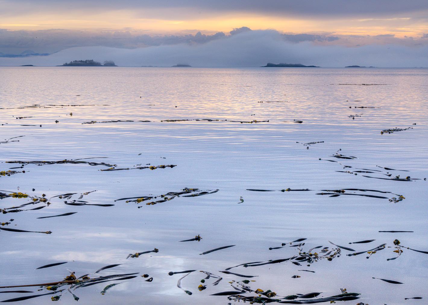 Landscape and nature photographer in Yorkshire, workshops, prints and ...