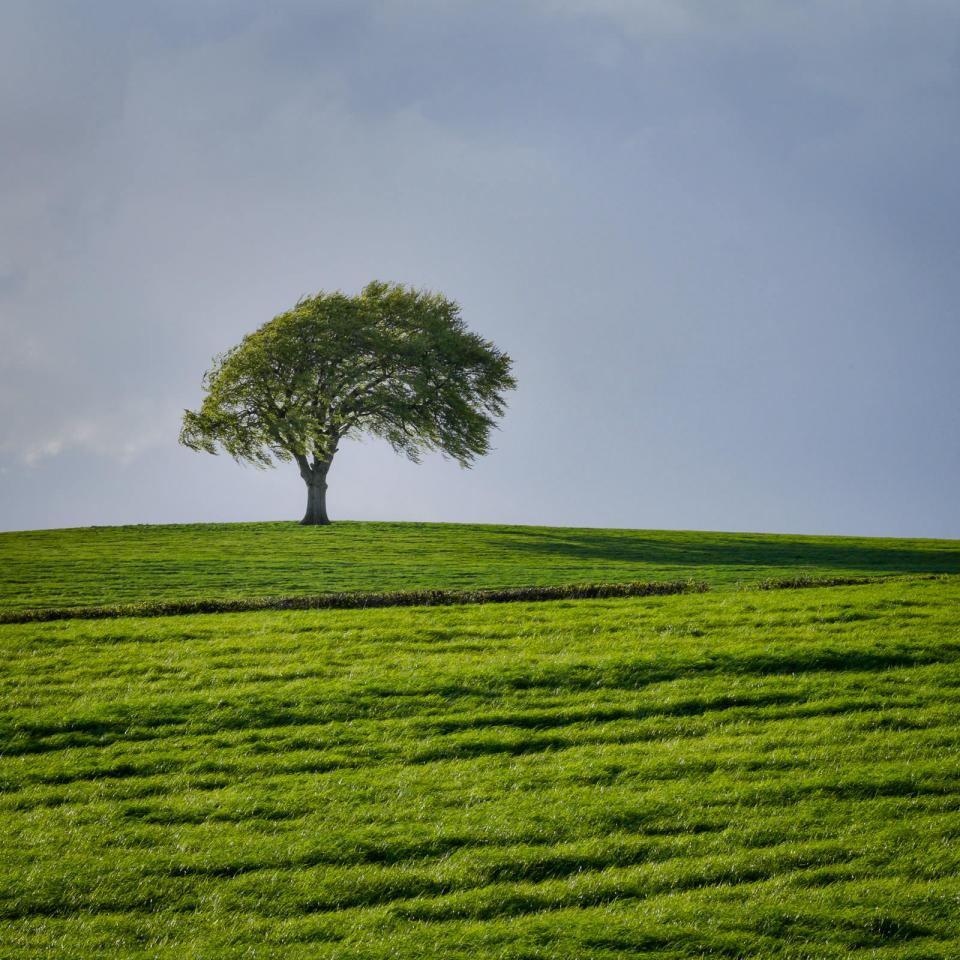 Landscape and nature photographer in Yorkshire, workshops, prints and ...