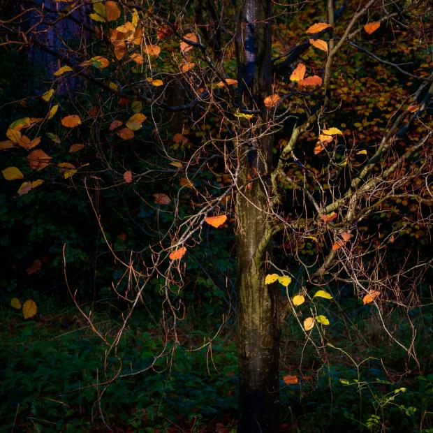 Landscape and nature photographer in Yorkshire, workshops, prints and ...