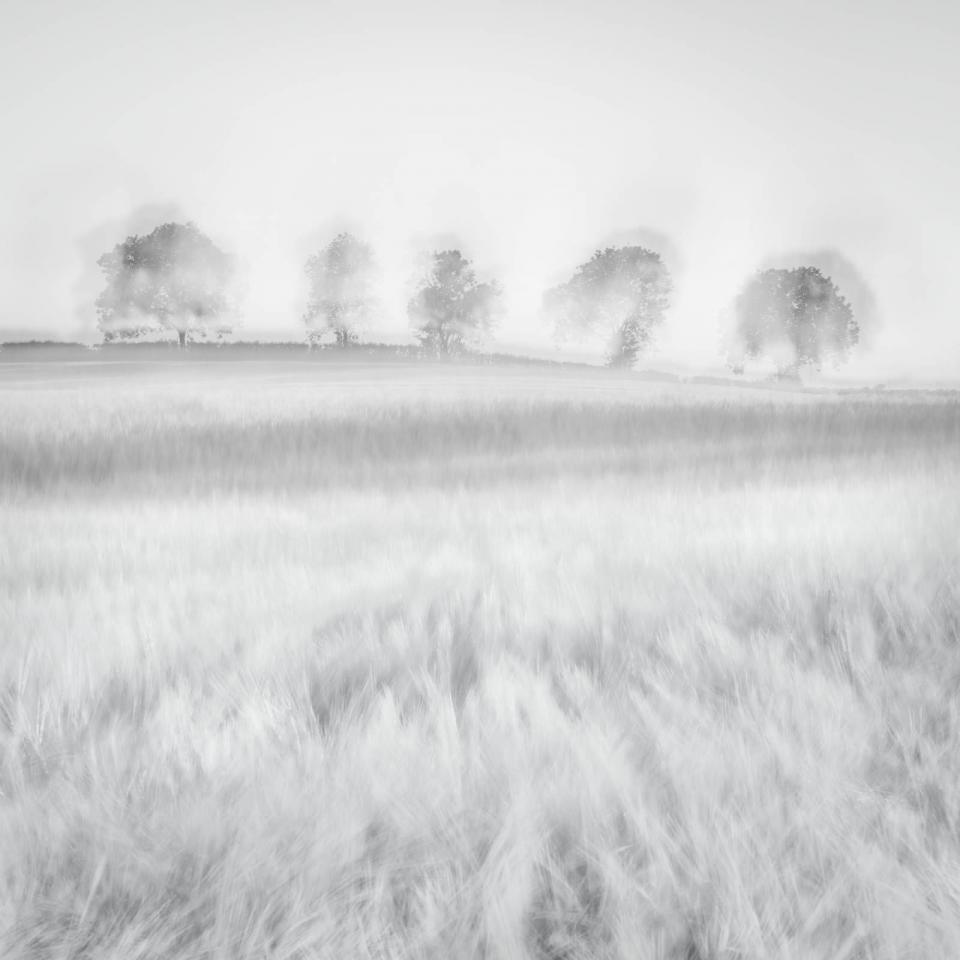 Landscape and nature photographer in Yorkshire, workshops, prints and ...