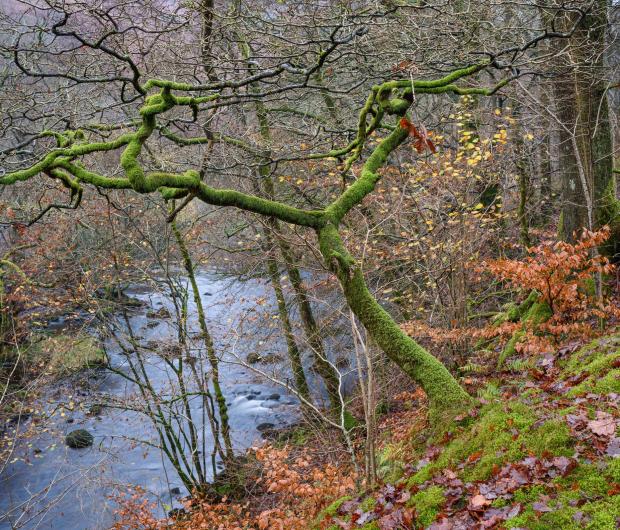Landscape and nature photographer in Yorkshire, workshops, prints and ...