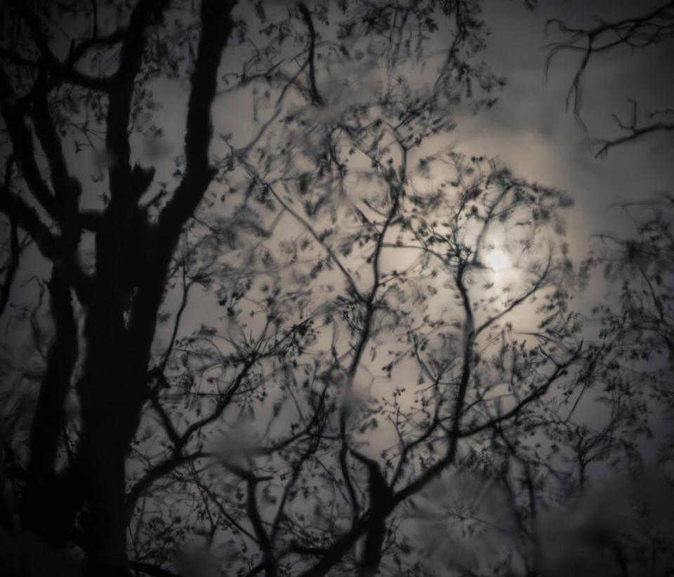 Landscape and nature photographer in Yorkshire, workshops, prints and ...