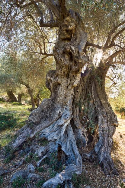 Landscape and nature photographer in Yorkshire, workshops, prints and ...
