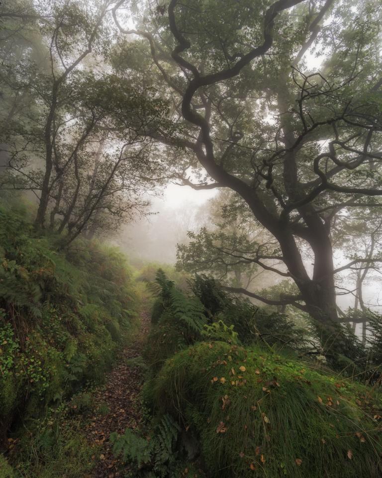 Landscape and nature photographer in Yorkshire, workshops, prints and ...
