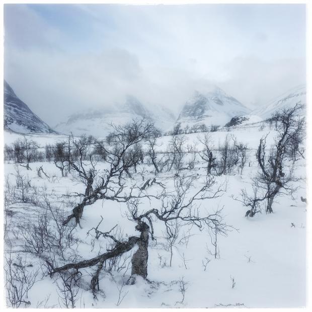 Landscape and nature photographer in Yorkshire, workshops, prints and ...