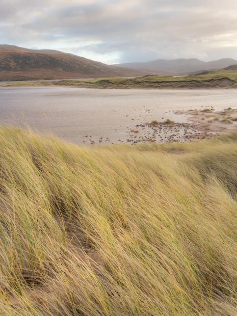 Landscape and nature photographer in Yorkshire, workshops, prints and ...