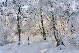 Landscape and nature photographer in Yorkshire, workshops, prints and ...