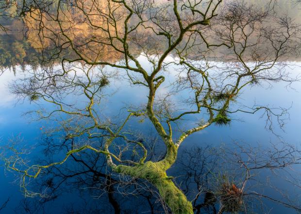 Landscape and nature photographer in Yorkshire, workshops, prints and ...