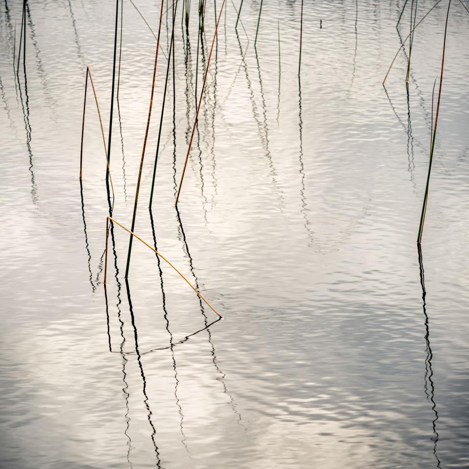 Landscape and nature photographer in Yorkshire, workshops, prints and ...