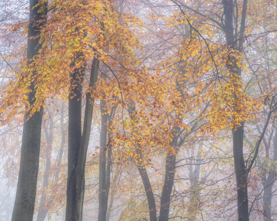 Landscape and nature photographer in Yorkshire, workshops, prints and ...