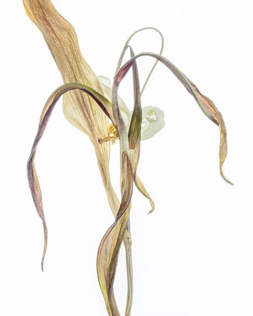 Landscape and nature photographer in Yorkshire, workshops, prints and ...