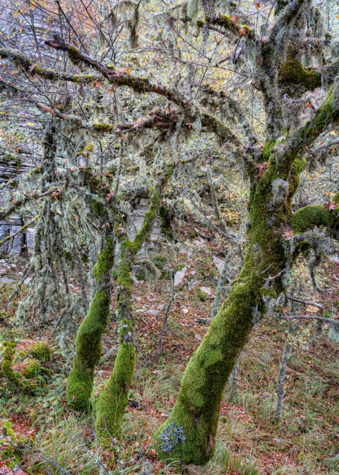 Landscape and nature photographer in Yorkshire, workshops, prints and ...