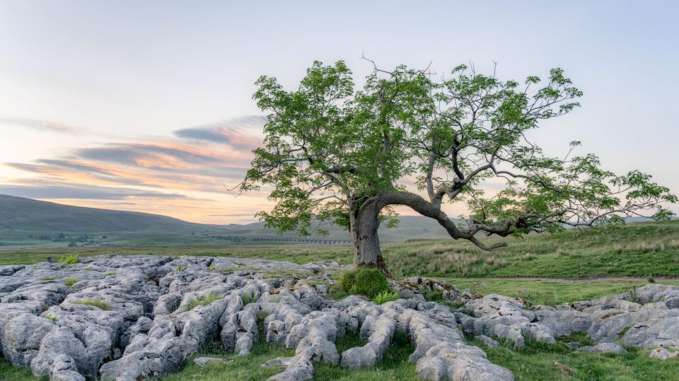 Landscape and nature photographer in Yorkshire, workshops, prints and ...
