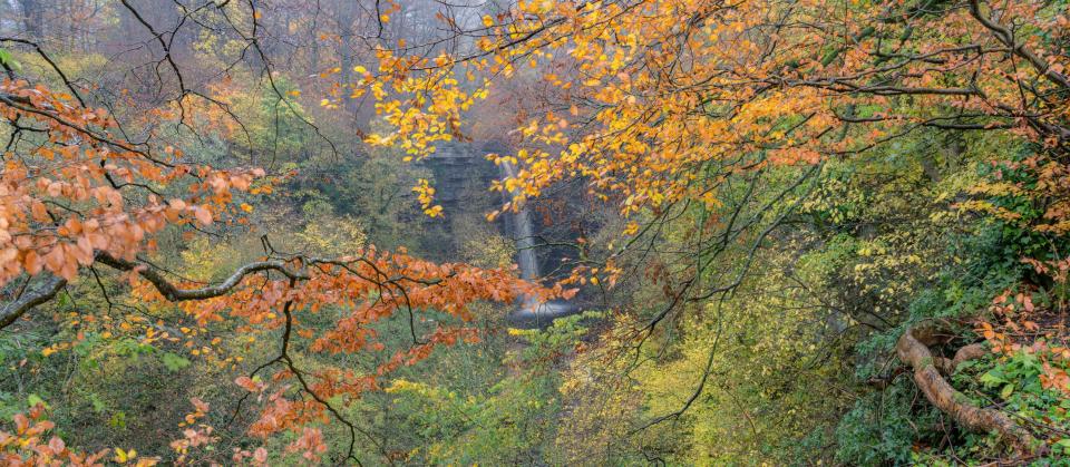 Landscape and nature photographer in Yorkshire, workshops, prints and ...