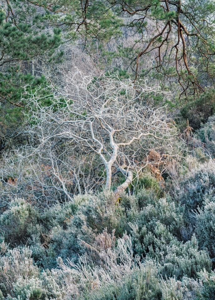 Landscape and nature photographer in Yorkshire, workshops, prints and ...