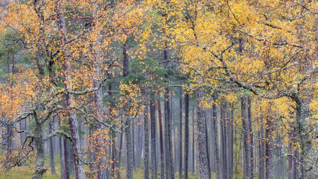 Landscape and nature photographer in Yorkshire, workshops, prints and ...