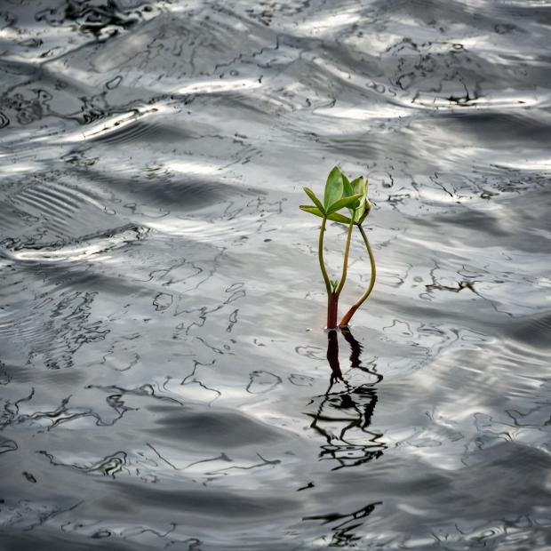 Landscape and nature photographer in Yorkshire, workshops, prints and ...