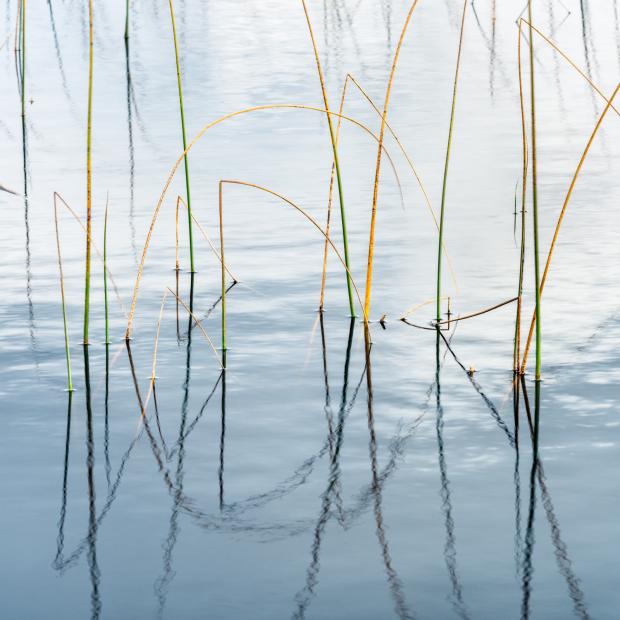 Landscape and nature photographer in Yorkshire, workshops, prints and ...