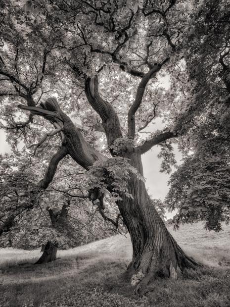 Landscape and nature photographer in Yorkshire, workshops, prints and ...