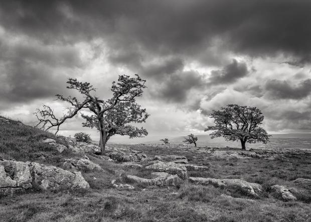 Landscape and nature photographer in Yorkshire, workshops, prints and ...