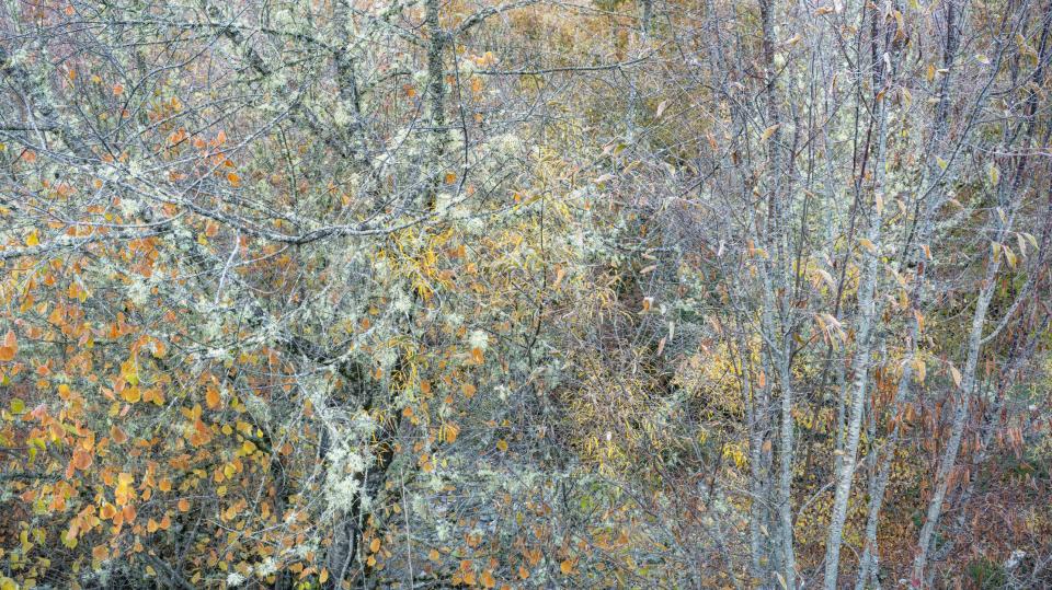 Landscape and nature photographer in Yorkshire, workshops, prints and ...