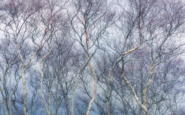 Landscape and nature photographer in Yorkshire, workshops, prints and ...