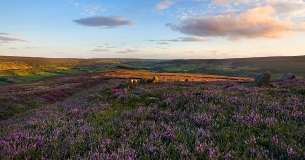 Landscape and nature photographer in Yorkshire, workshops, prints and ...