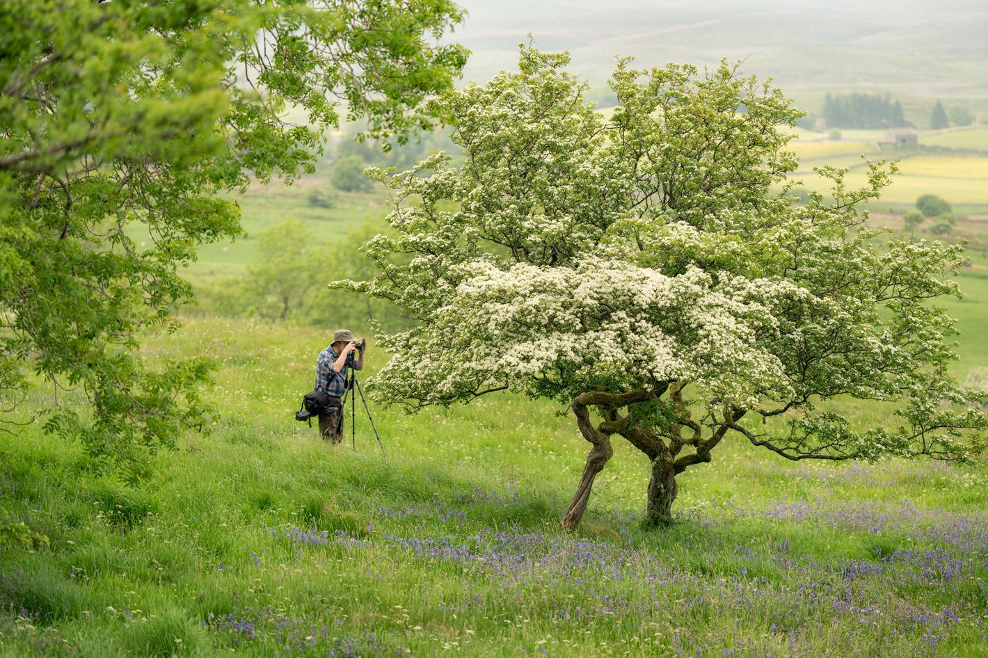 Landscape and nature photographer in Yorkshire, workshops, prints and ...